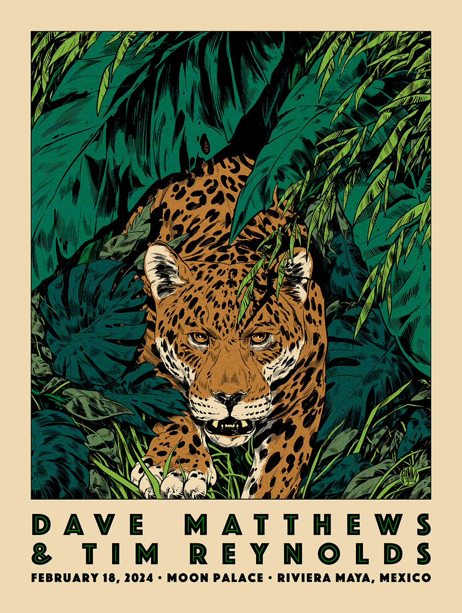 STANDARD Dave Matthews Tim Reynolds AP – Johnny Dombrowski